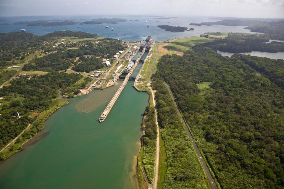 Immer mehr Meeresfische erobern den Panamakanal - [GEO]