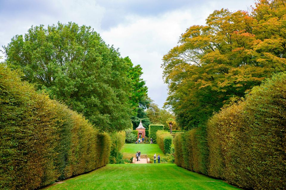 Hidcote Manor Garden, Gloucestershire - [GEO]