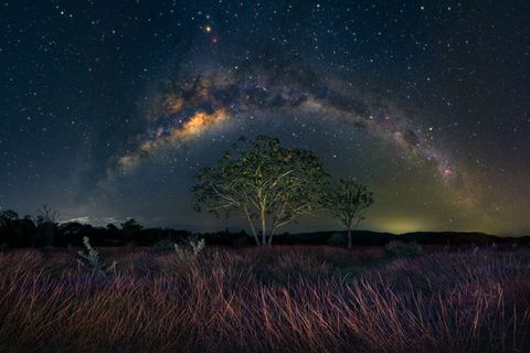Preisgekrönte Fotografie zum Staunen – Der Natur ganz nah - [GEO]