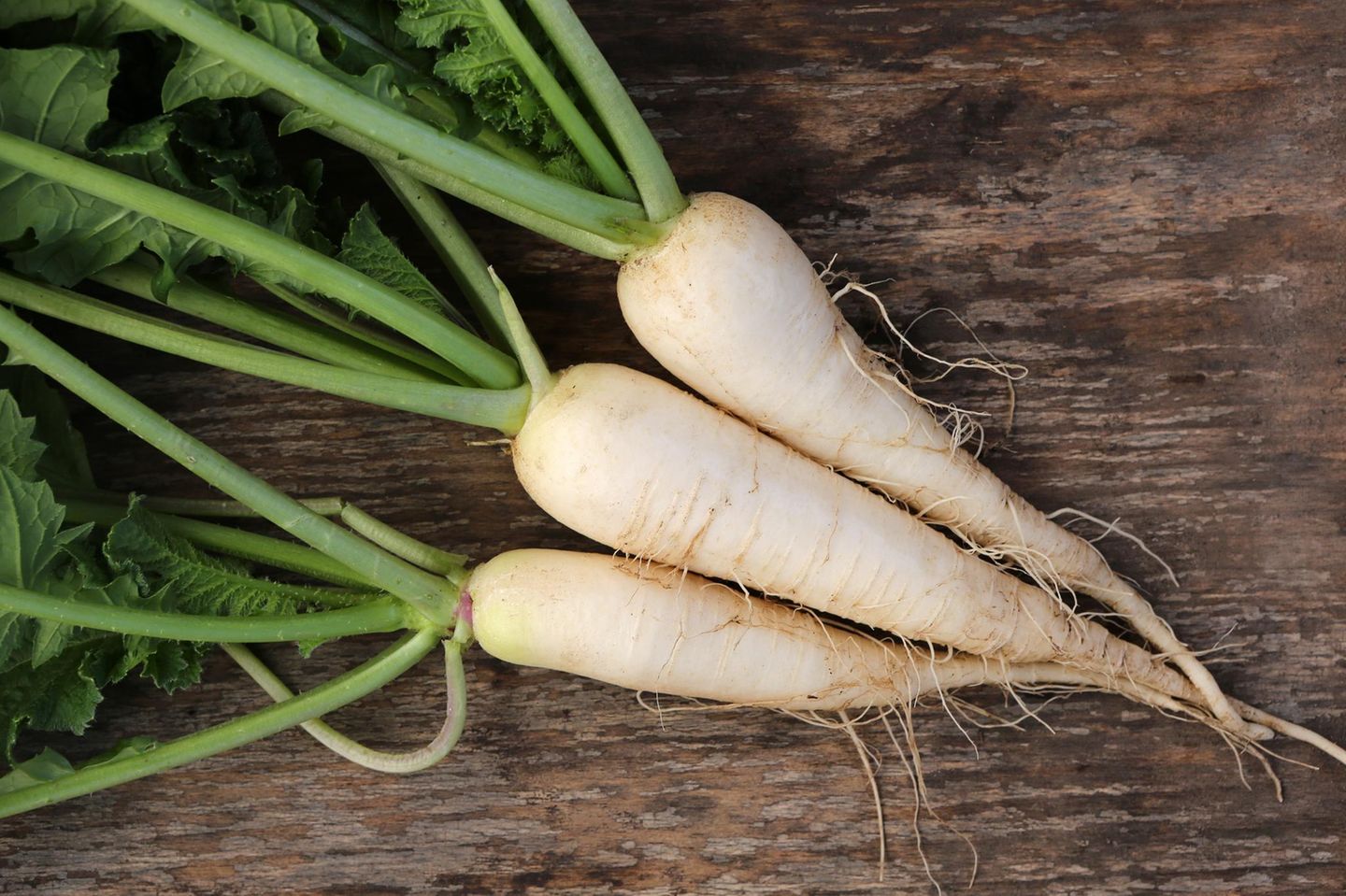 Weißer Rettich: Diese Vitamine stecken drin - [GEO]