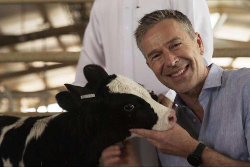 Urzeit: Die wahre Geschichte der Evolution - [GEO]