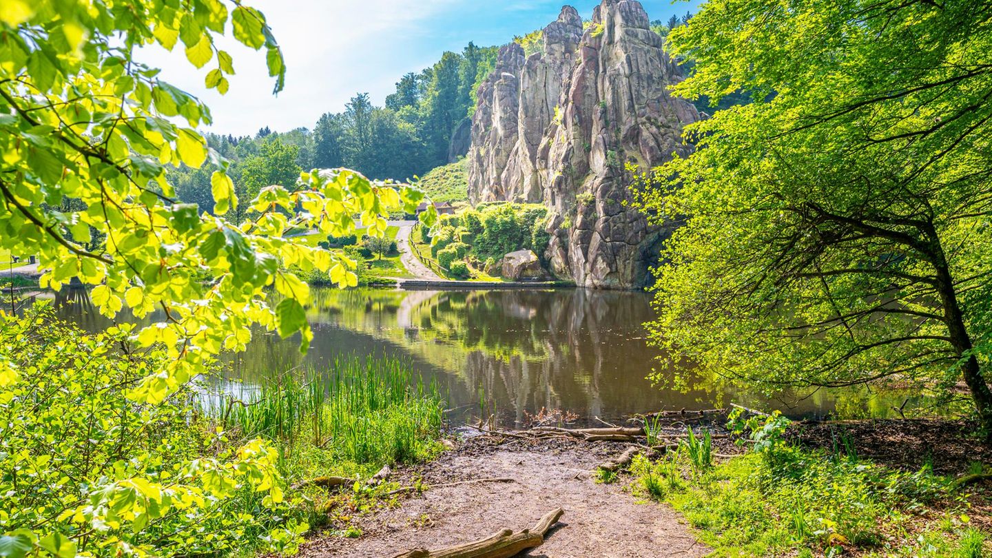 Die zehn schönsten Wälder in Deutschland - [GEO]