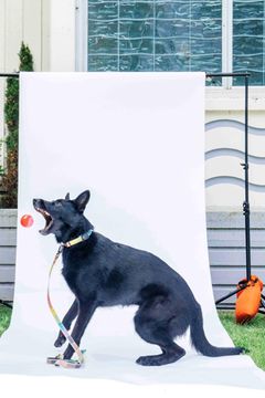 Longyan UNESCO Global Geopark – China - [GEO]