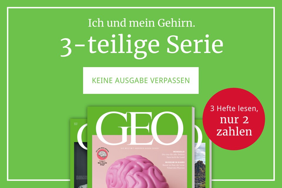 Wissen bei GEO: Aktuelles und Fakten - [GEO]