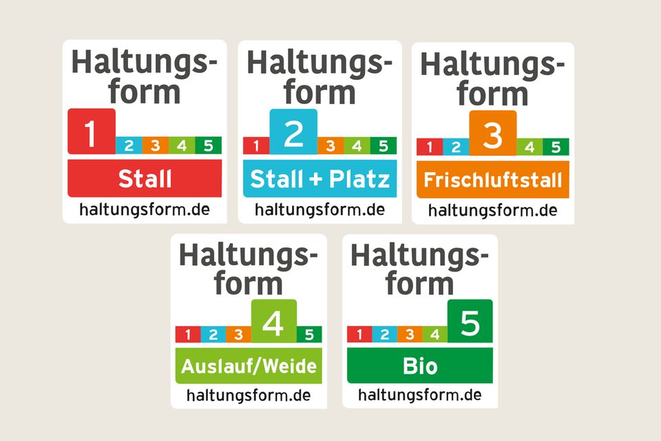Haltungsformen: Was bedeuten die Stufen 1 bis 5? - [GEO]