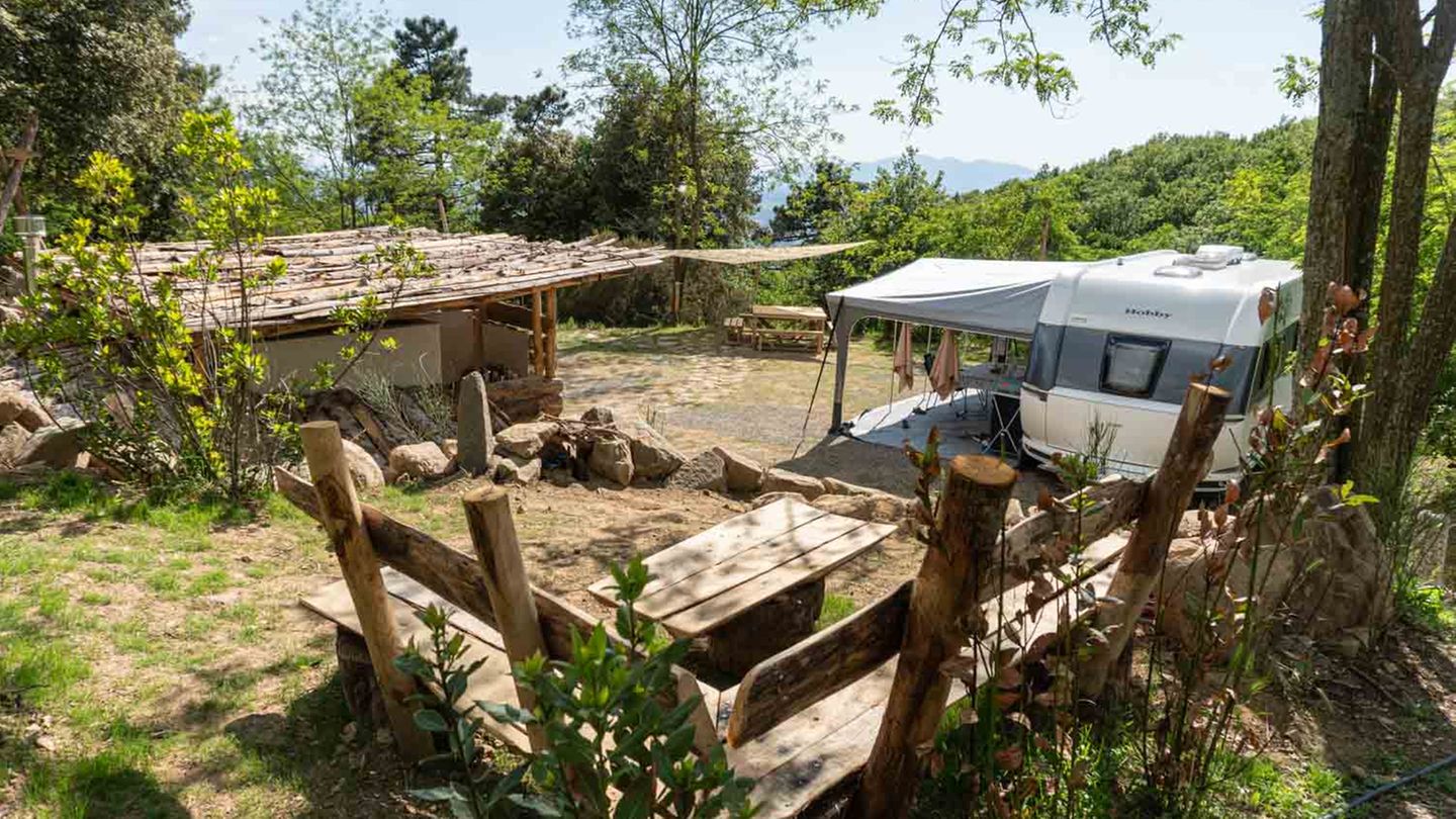 Barco Reale: Toskana mit Gemüsegarten - [GEO]