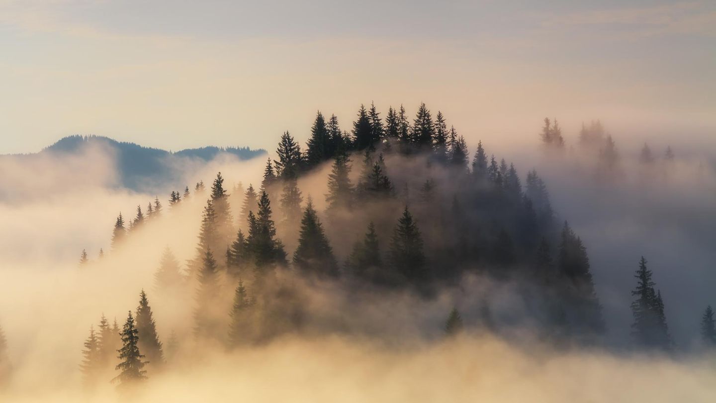 Wie entsteht Nebel? Das Phänomen verständlich erklärt - [GEO]