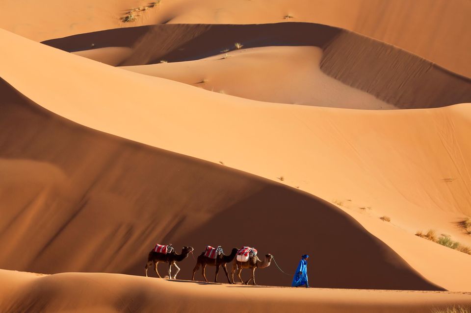 Erg Chebbi: Das Dünen-Wunder - [GEO]