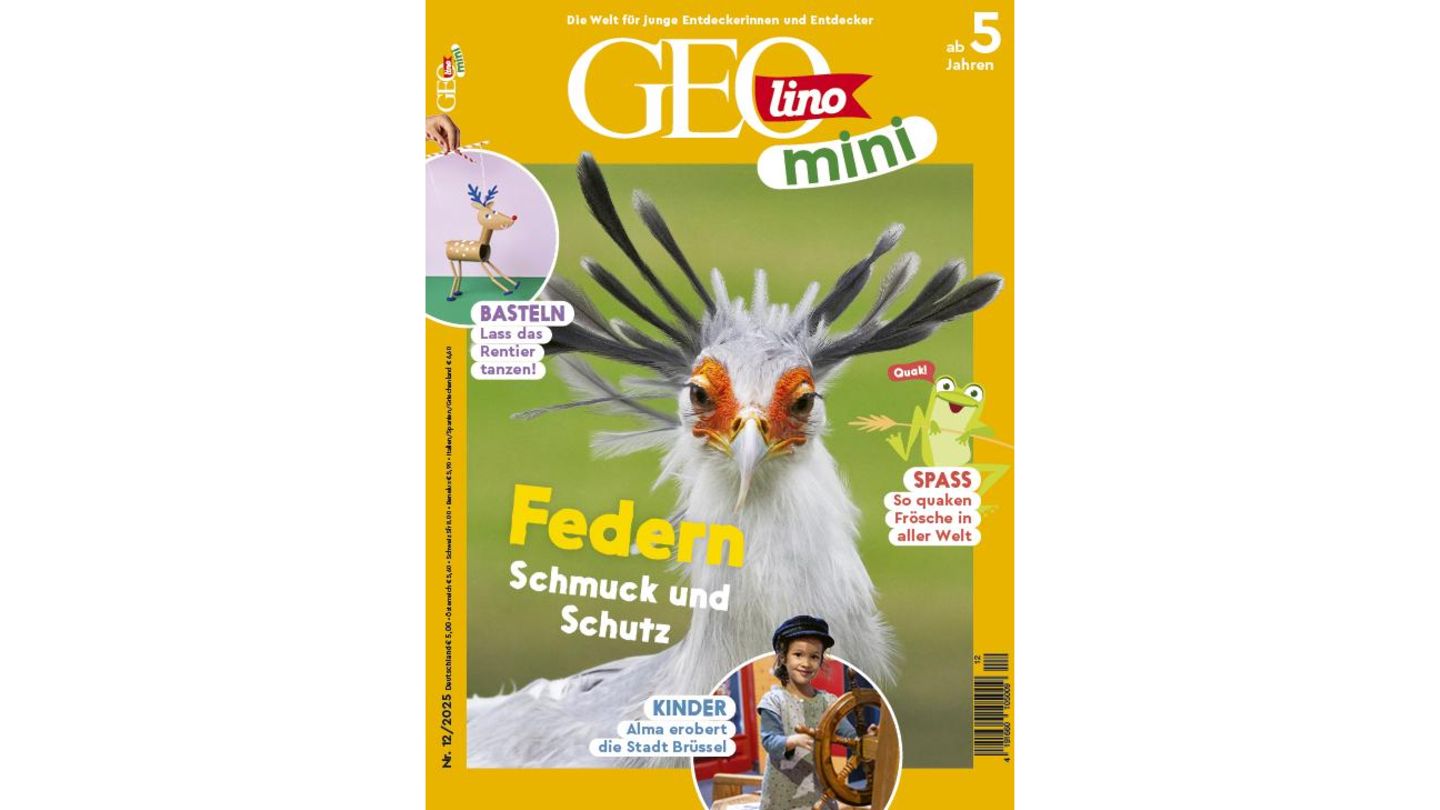 GEOlino Mini Magazin: Federn - [GEO]