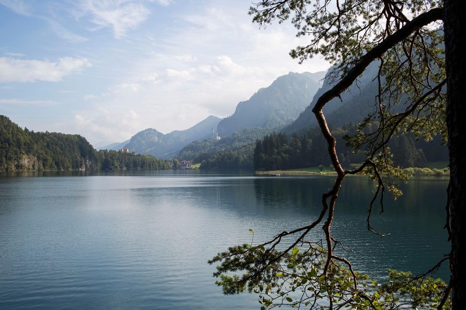 Alpsee - [GEO]