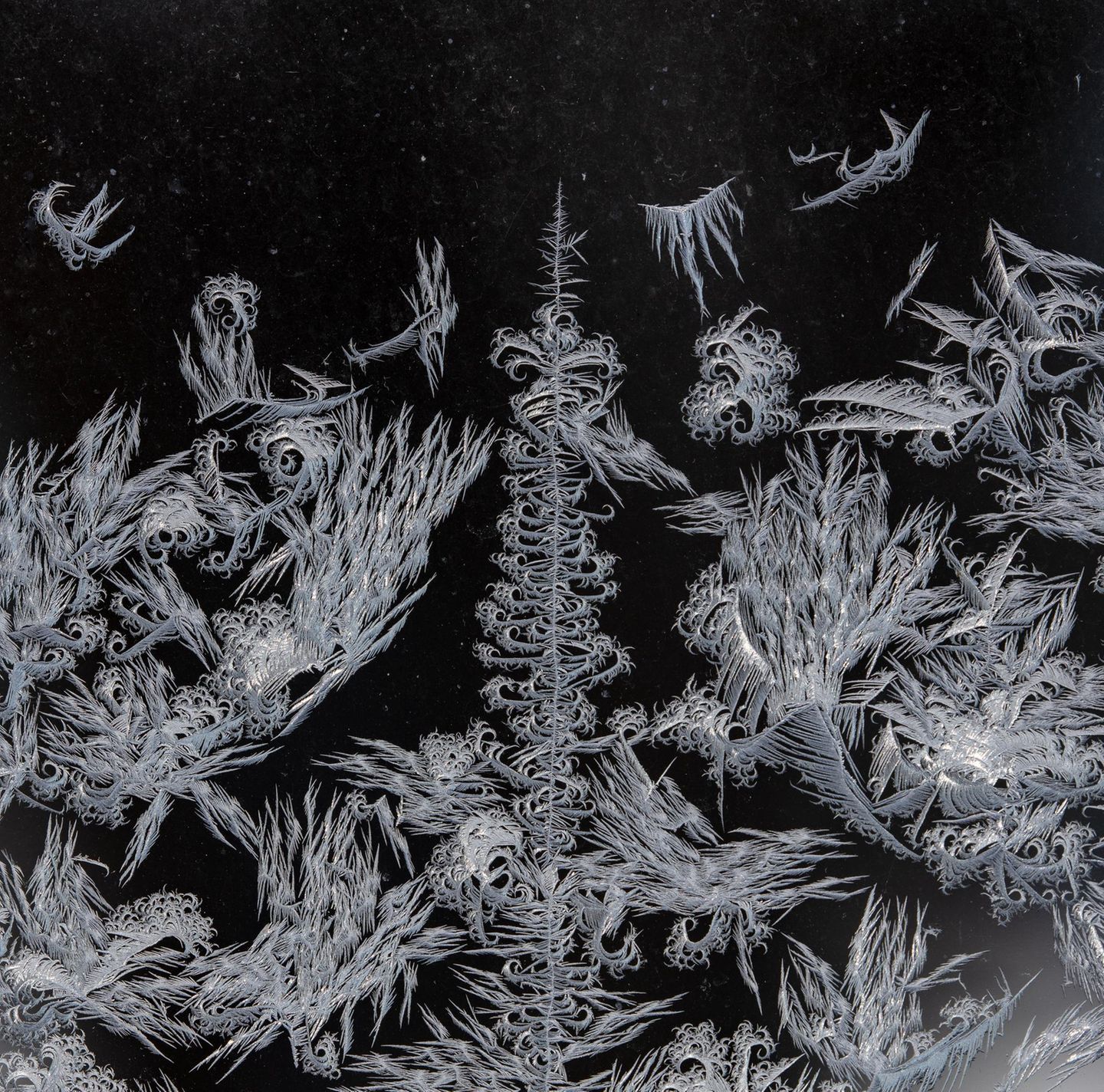 Vergängliche Kunstwerke - [GEO]