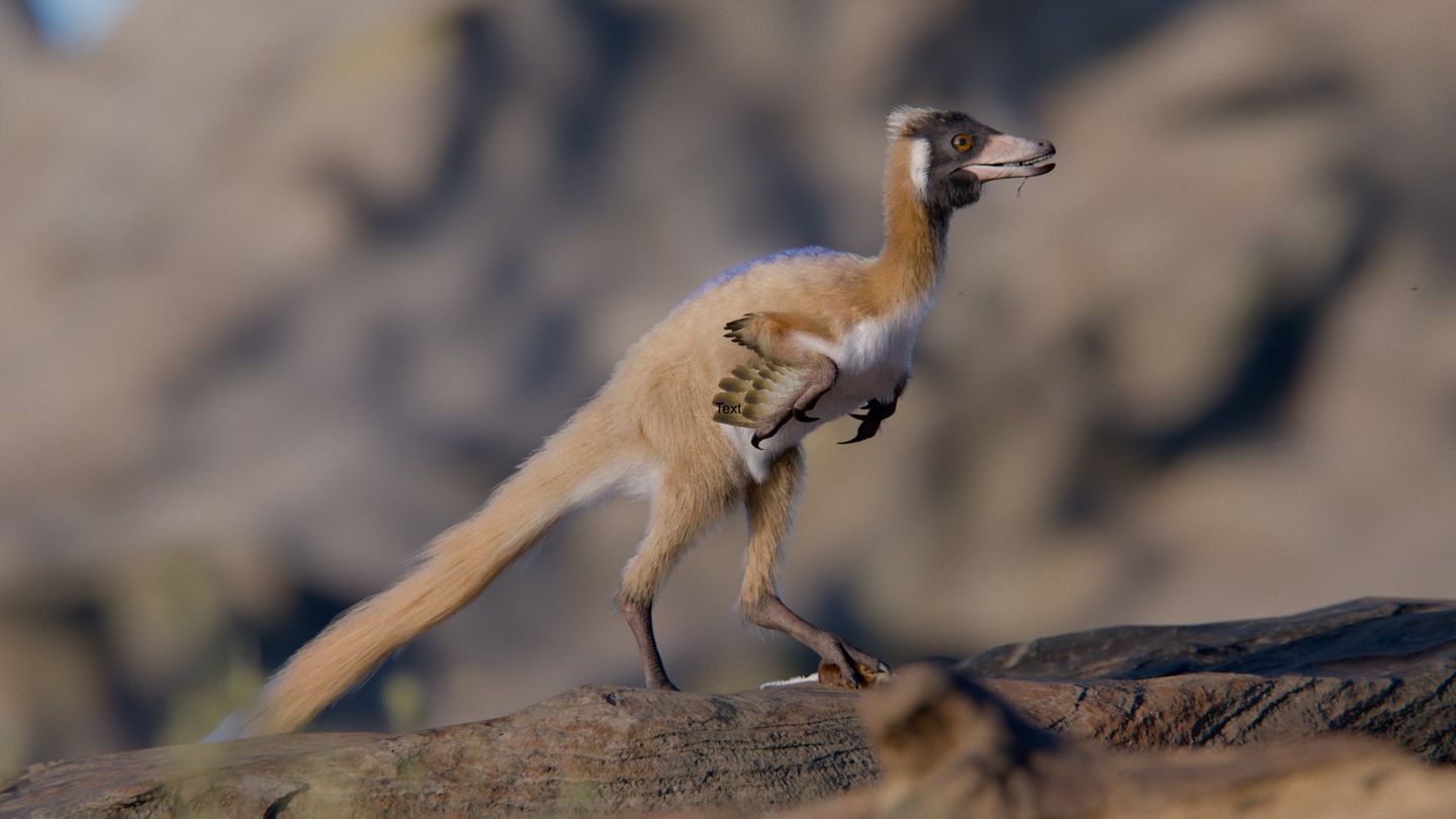 Von wegen furchteinflößend: Mini-Dino mampfte Ameisen - [GEO]