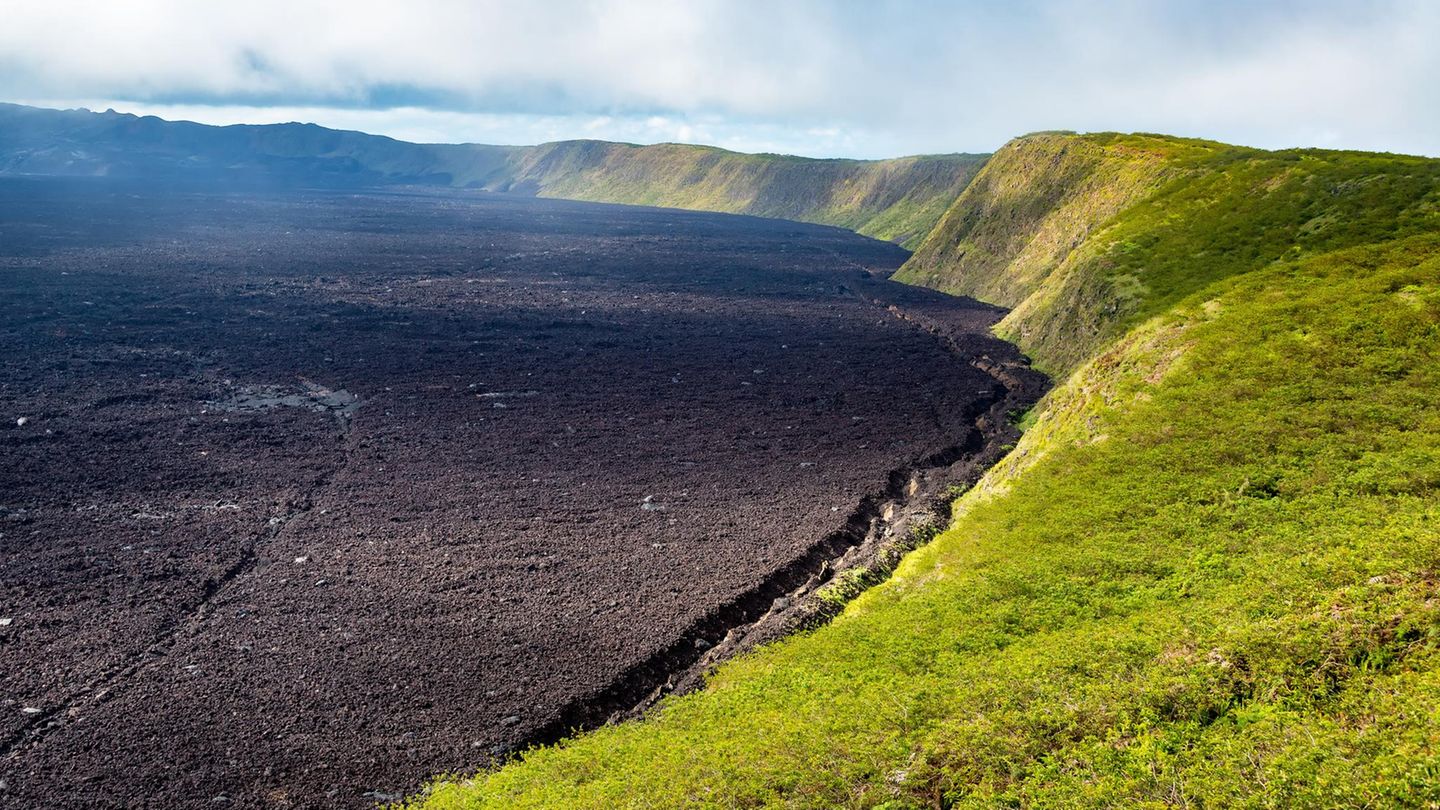 9 Erlebnisse auf den Galápagos-Inseln - [GEO]